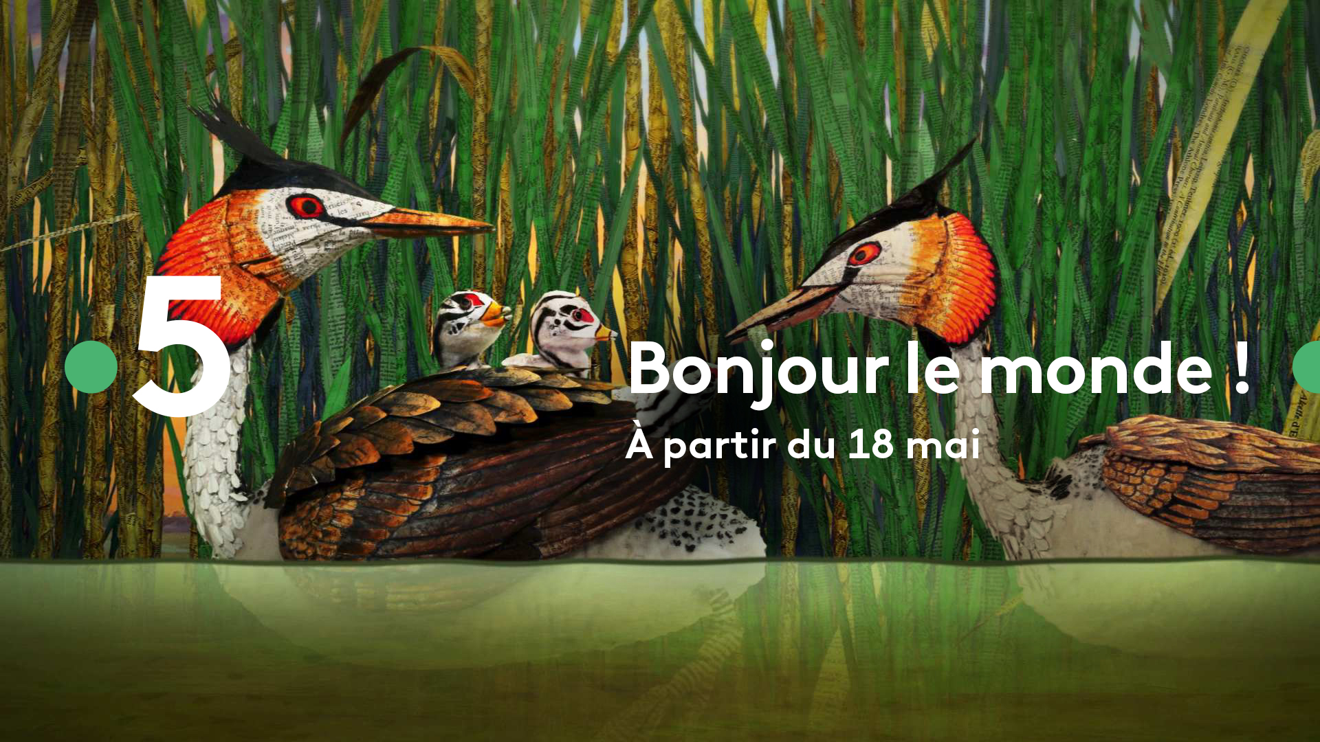 France 5 propose une série d'animation naturaliste - Press Club